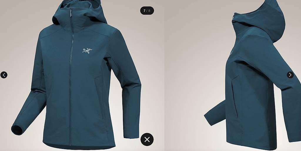 Arcteryx Gamma LT Hoody (L/G) im Kanton Zürich - tutti.ch