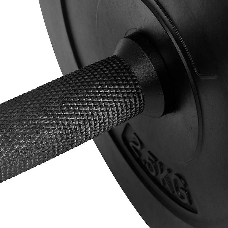 2 manubri 2 x 10 kg (Consegna gratuita) im Kanton Tessin - tutti.ch