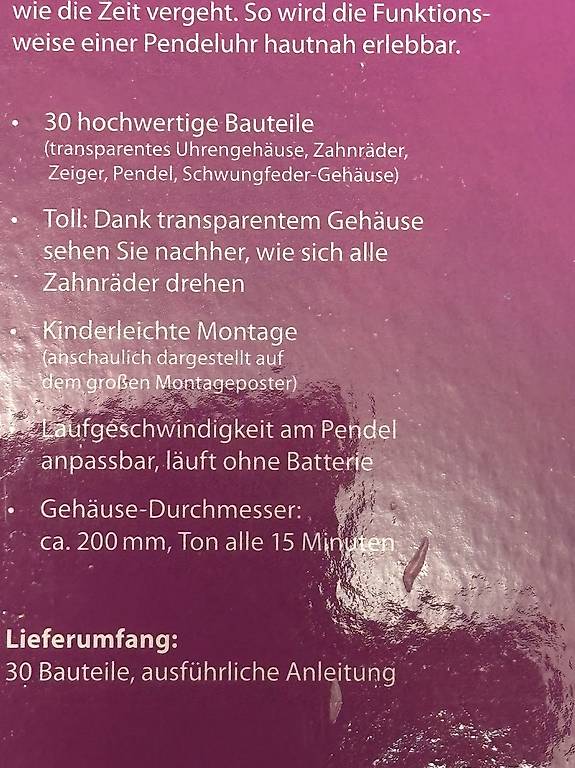 Pendeluhr-Bausatz für Kinder im Kanton Luzern - tutti.ch