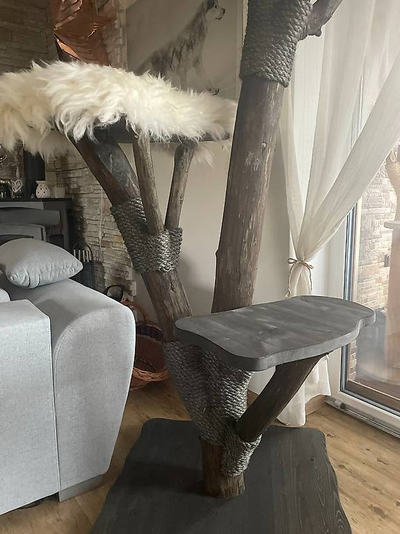 Moderner Naturholz Kratzbaum Designer Katzenbaum NEU im Kanton Schwyz ...