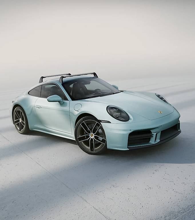 Basisträger Dachtransportsystem - 911 (Dachbox) im Kanton Zürich - tutti.ch