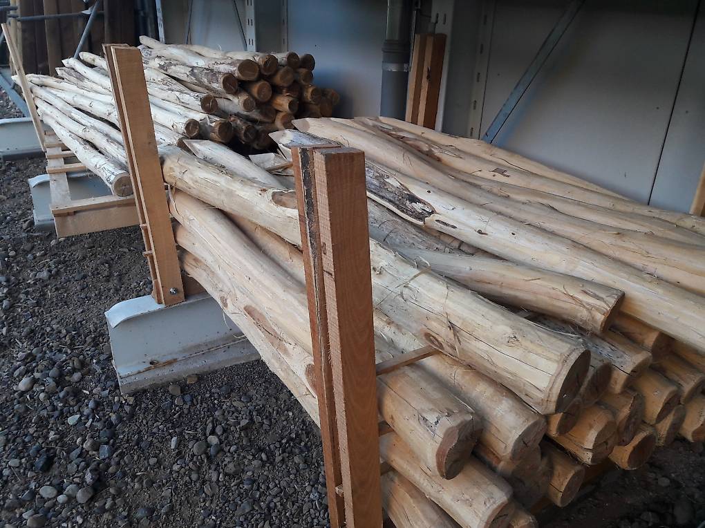 Pfähle Robinie im Kanton St. Gallen - tutti.ch