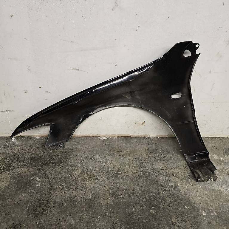 Kotflügel Mitsubishi Lancer EVO 7/8/9 im Kanton Tessin - tutti.ch