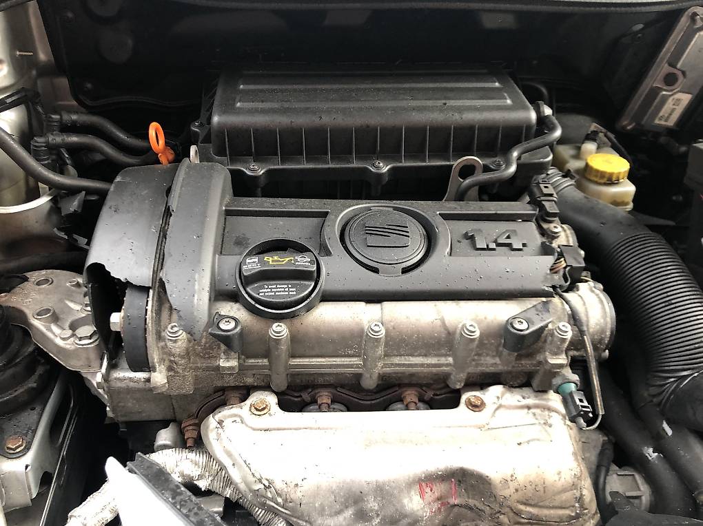 BXW Motor Seat Ibiza 1.4 16V im Kanton Luzern - tutti.ch