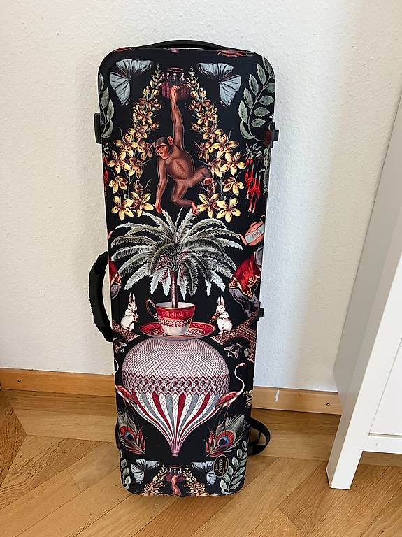 Koffer für Violine - Jakob Winter (Design Edition) im Kanton Zürich ...