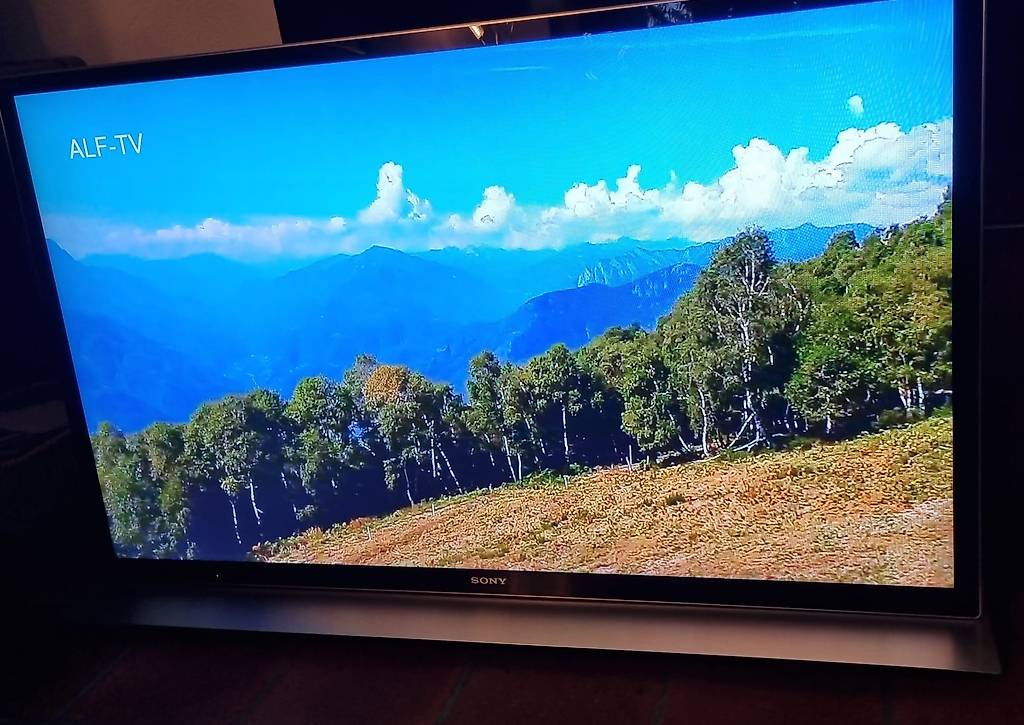 Sony 55Zoll LCD Fernseher (TV) im Kanton Graubünden - tutti.ch