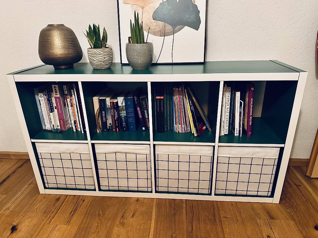 Kallax 2x4 grün Ikea im Kanton Graubünden - tutti.ch