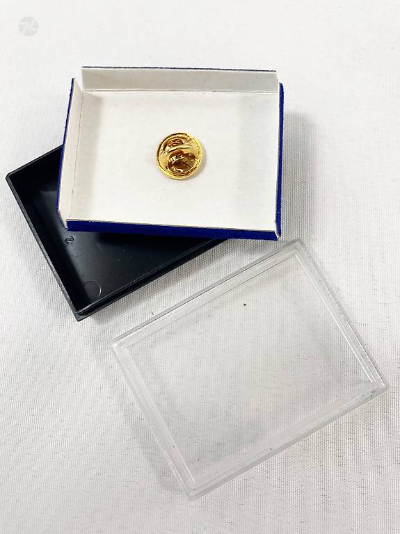 Vintage Apple Computer Pin Rainbow Design Retro 1980s im Kanton Zürich ...