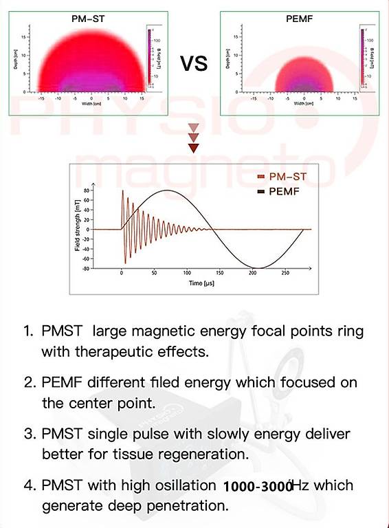 5 Tesla Magneto Physio PEMF Magnetische Maschine im Kanton Graubünden ...