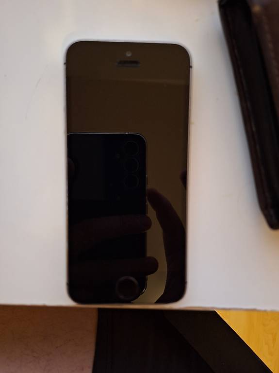 iPhone SE - A1723- First Gen - Boot Loop im Kanton Zürich - tutti.ch