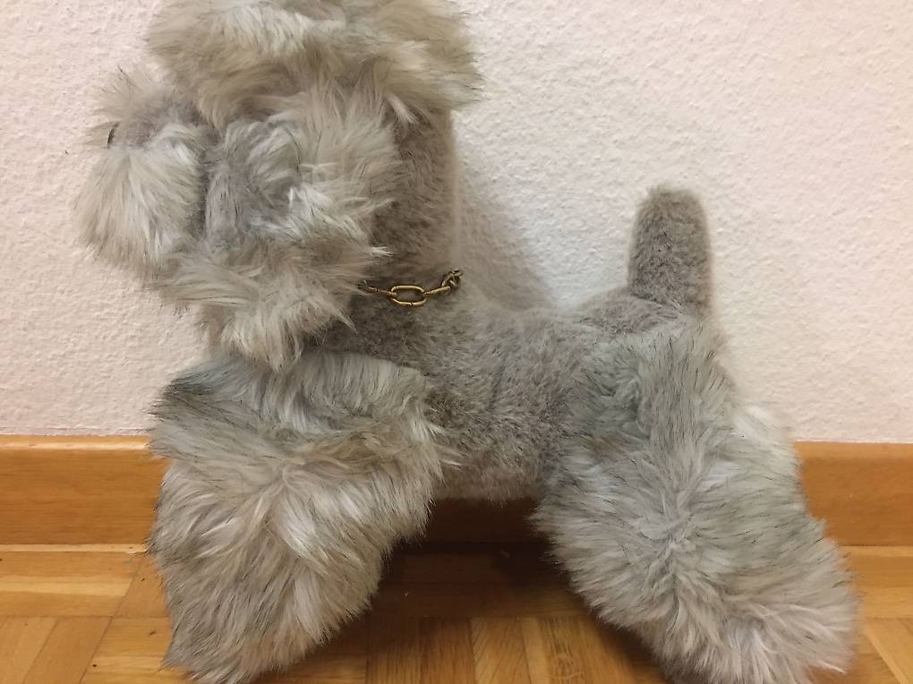 Hermann Teddy original Hund im Kanton St. Gallen - tutti.ch