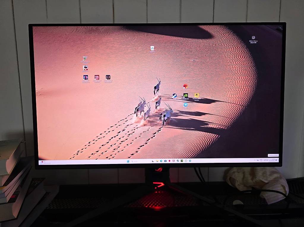 Asus Rog Swift OLED PG32UCDM im Kanton St. Gallen - tutti.ch