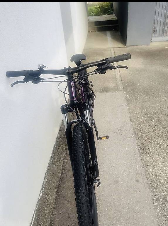 Contessa scott im Kanton Tessin - tutti.ch