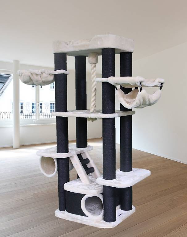 ROBUSTER KATZENBAUM KRATZBAUM MODERN TOP QUALITÄT & NEU Canton Saint ...