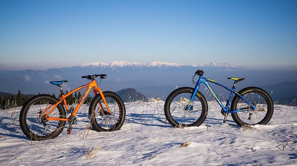 Rock Machine Fatbike Avalanche 30, 26" wheels im Kanton Schwyz - tutti.ch