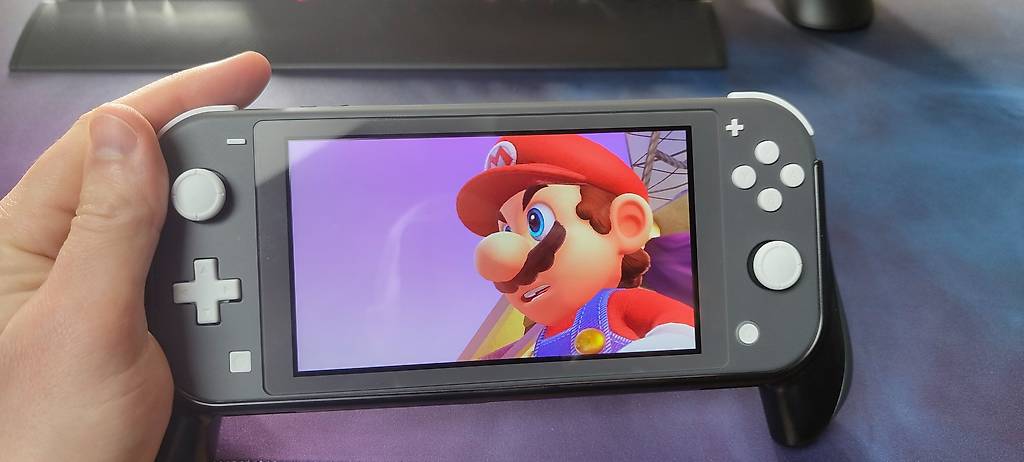 Switch Lite (Picofly Mod Chip) im Kanton Zürich - tutti.ch