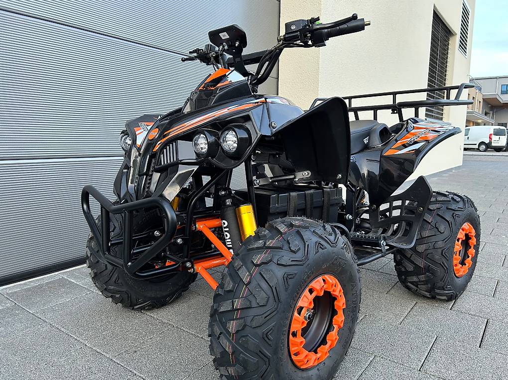 Elektro-Quad max 2000W 60V + Direktantrieb und Differenzial Cantone ...