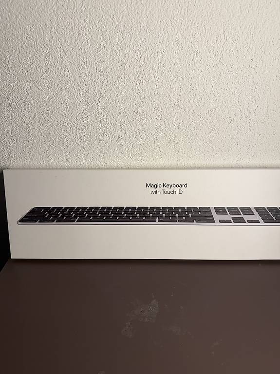 Apple Magic Keyboard mit Touch ID (A2449) inkl. Kabel im Kanton Zürich ...