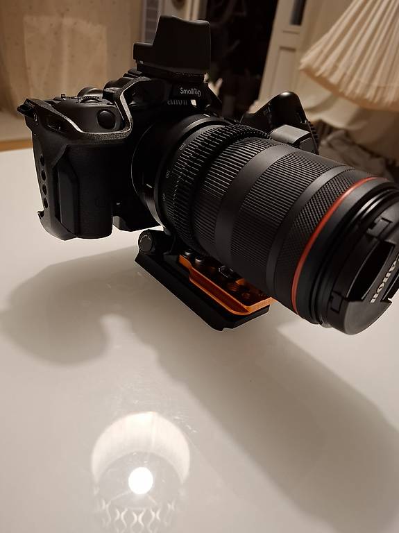 Canon r7 + RF 100-400 f5.6 - 8 IS USM im Kanton Bern - tutti.ch