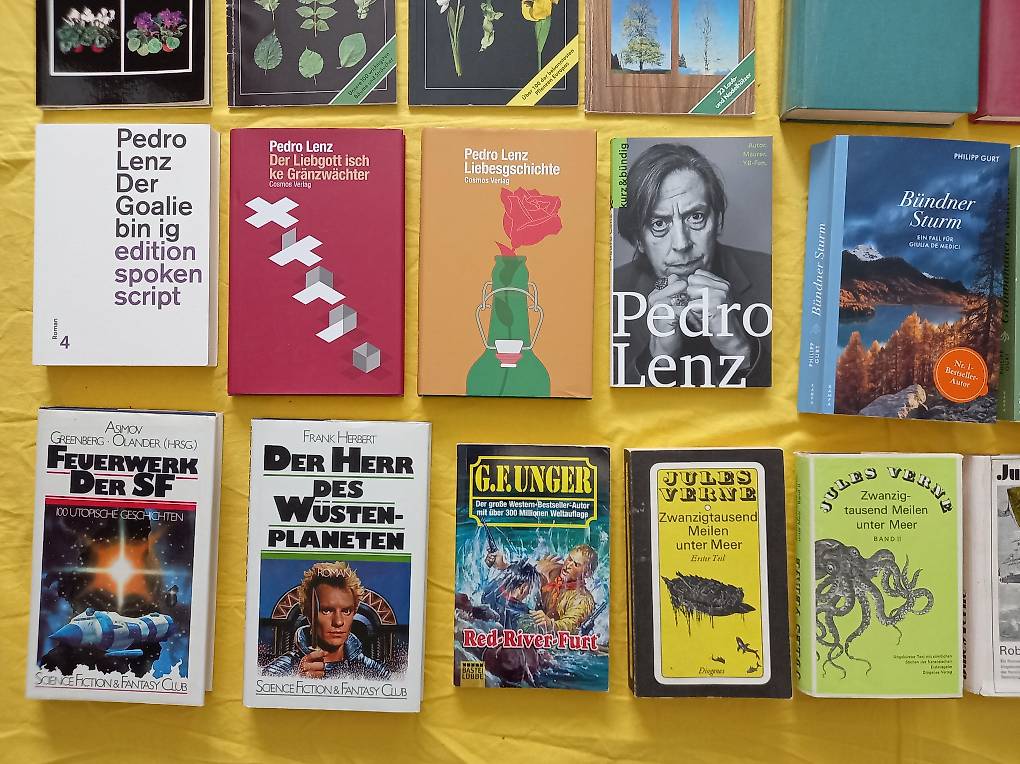 36 Bücher Pedro Lenz Verne Pflanzen Sci-Fi Tiere WoMo Romane im Kanton Aargau - tutti.ch