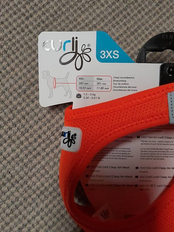 Curli Clap Air-Mesh Hundegeschirr klein (XXXS) - neu! im Kanton Bern ...