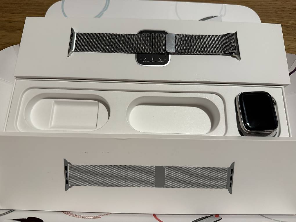 Apple Watch Series 5 Stainless Steel im Kanton Luzern - tutti.ch