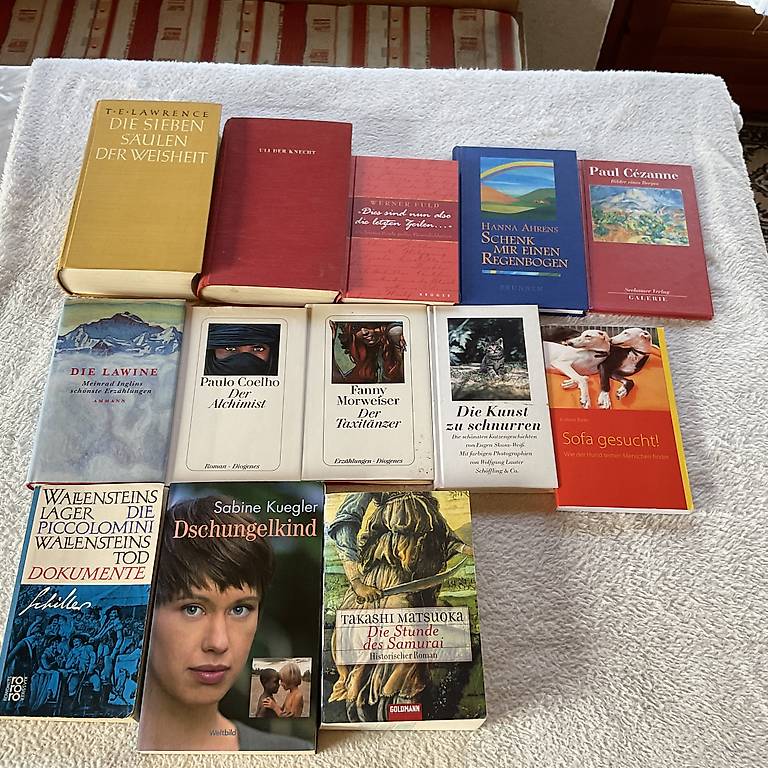 Diverse Bücher, gebraucht oder neuwertig, Stückpreis Cantone San Gallo ...