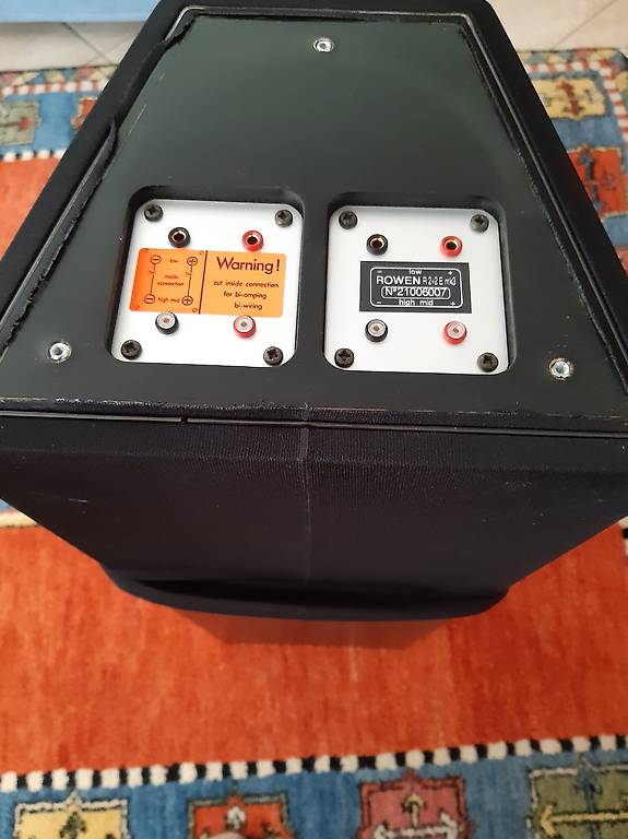 Diffusori Rowen R2+2E mk3 Cantone Ticino - tutti.ch