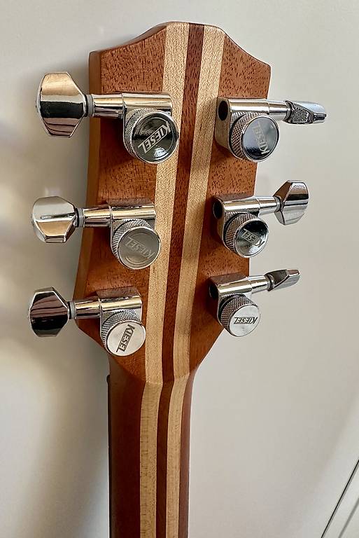Kiesel CS3 Goldtop im Kanton Bern - tutti.ch