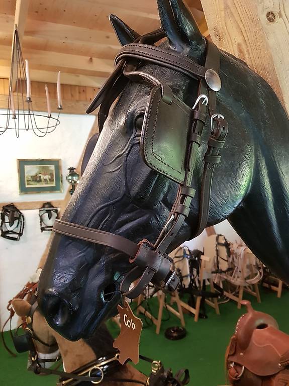 NEUER brauner Fahrzaum Zaum Kopfstück im Kanton St. Gallen - tutti.ch