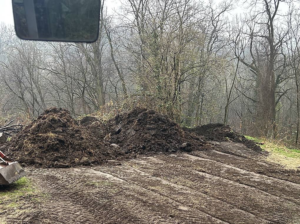 Letame per orti o giardini im Kanton Tessin - tutti.ch
