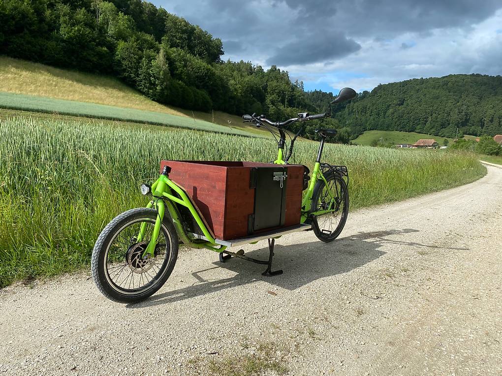 E-Bike-Cargo-Reichweite 100km-Mittelmotor-8Gang-Hund- Box im Kanton ...