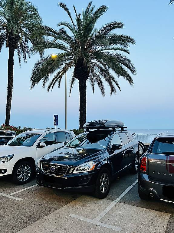 Dachbox Thule Dynamic L im Kanton Glarus - tutti.ch