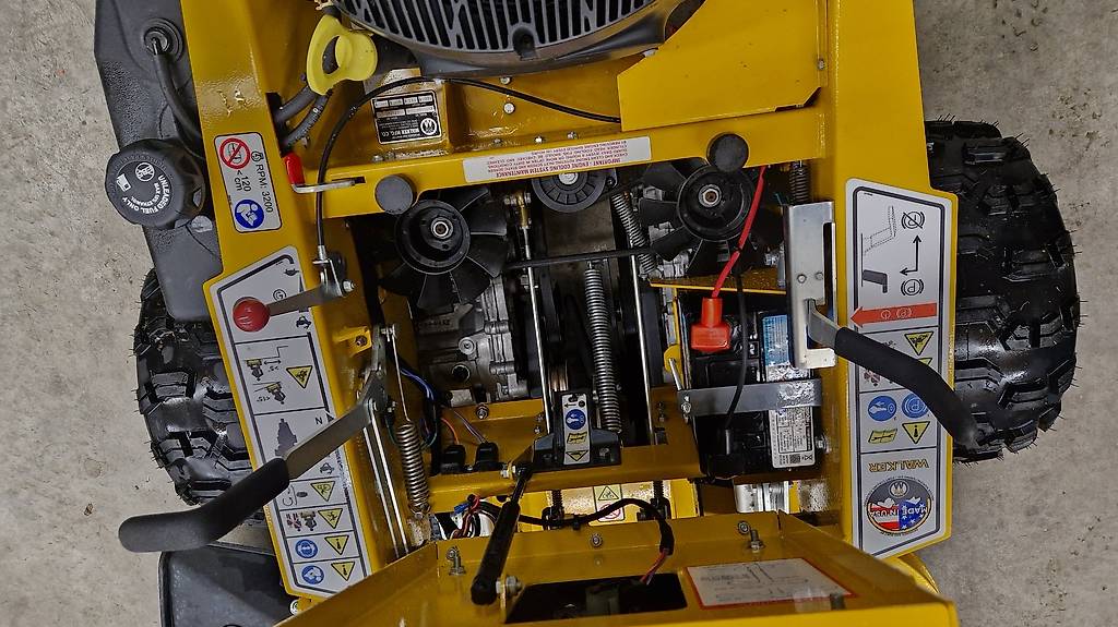 Walker Ausitzmäher Rasenmäher Mulcher im Kanton Thurgau - tutti.ch