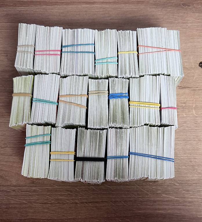 Panini FIFA World Cup 2026 Album im Kanton Bern - tutti.ch