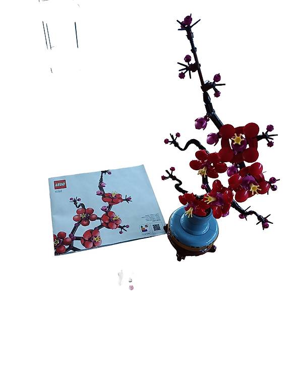 LEGO 10369 Pflaumenblüte im Kanton Luzern - tutti.ch
