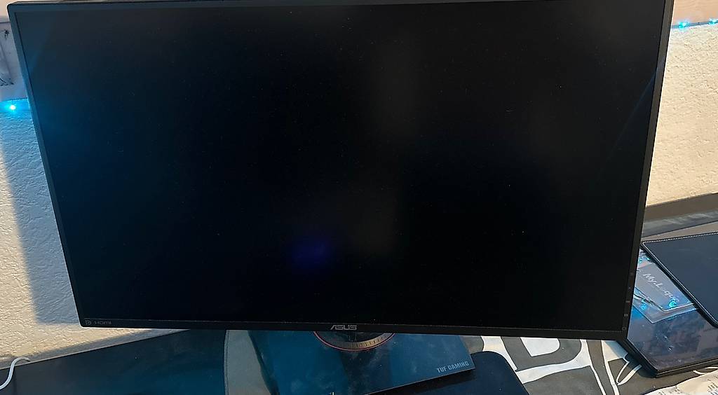 Asus Gaming Monitor im Kanton Zürich - tutti.ch